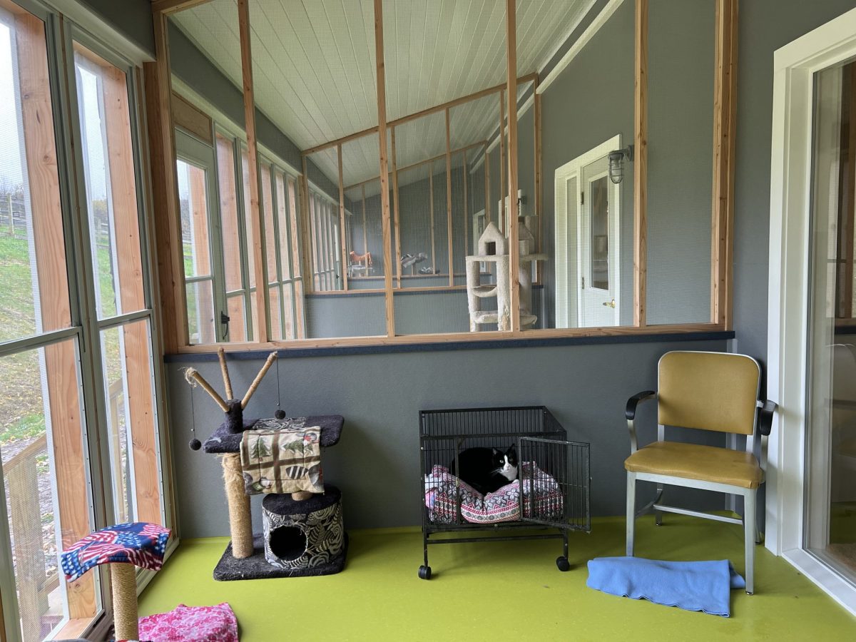 First Phase of Cat Room Renovations Complete - Spring Farm CARES