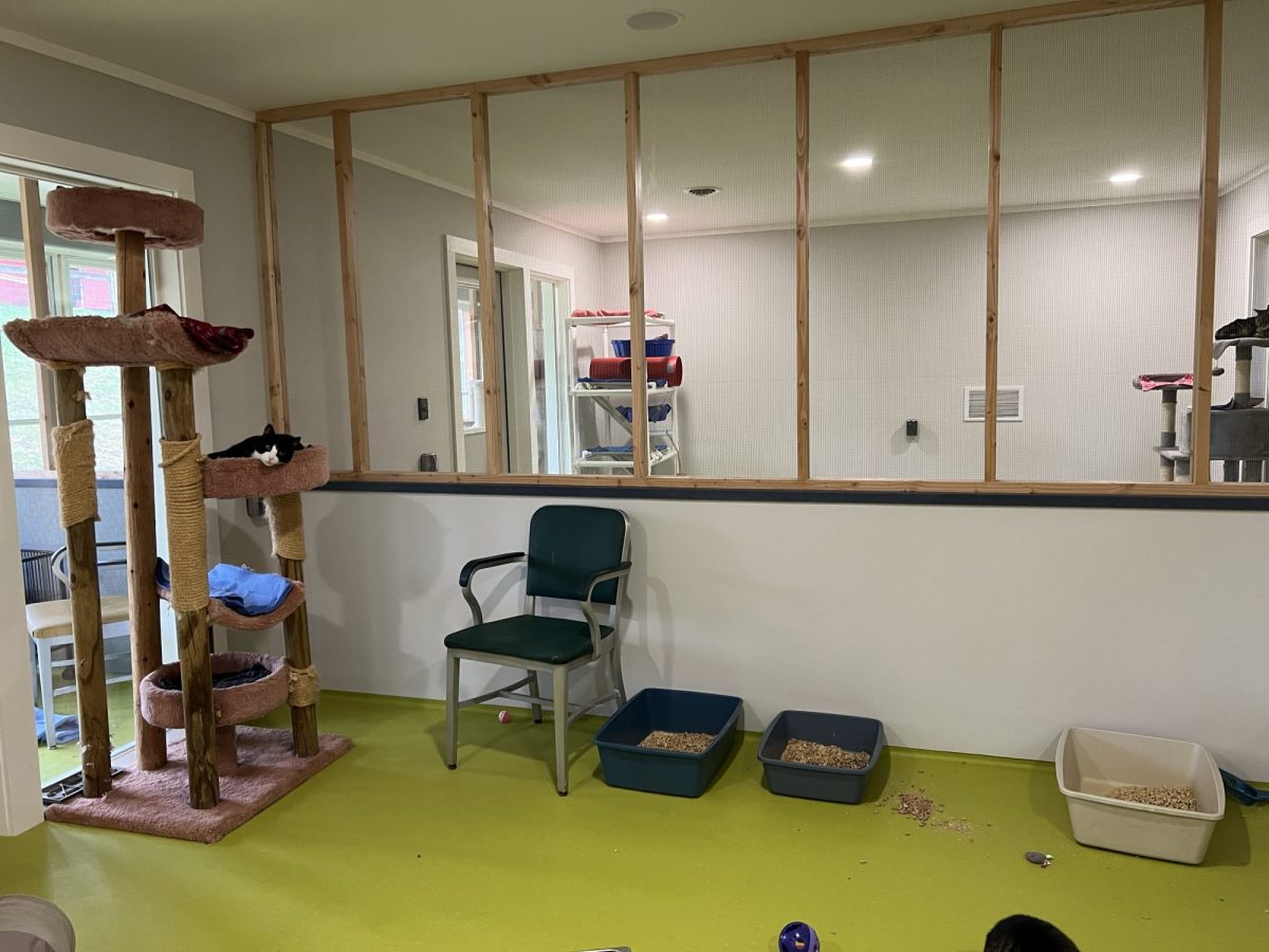 First Phase of Cat Room Renovations Complete - Spring Farm CARES