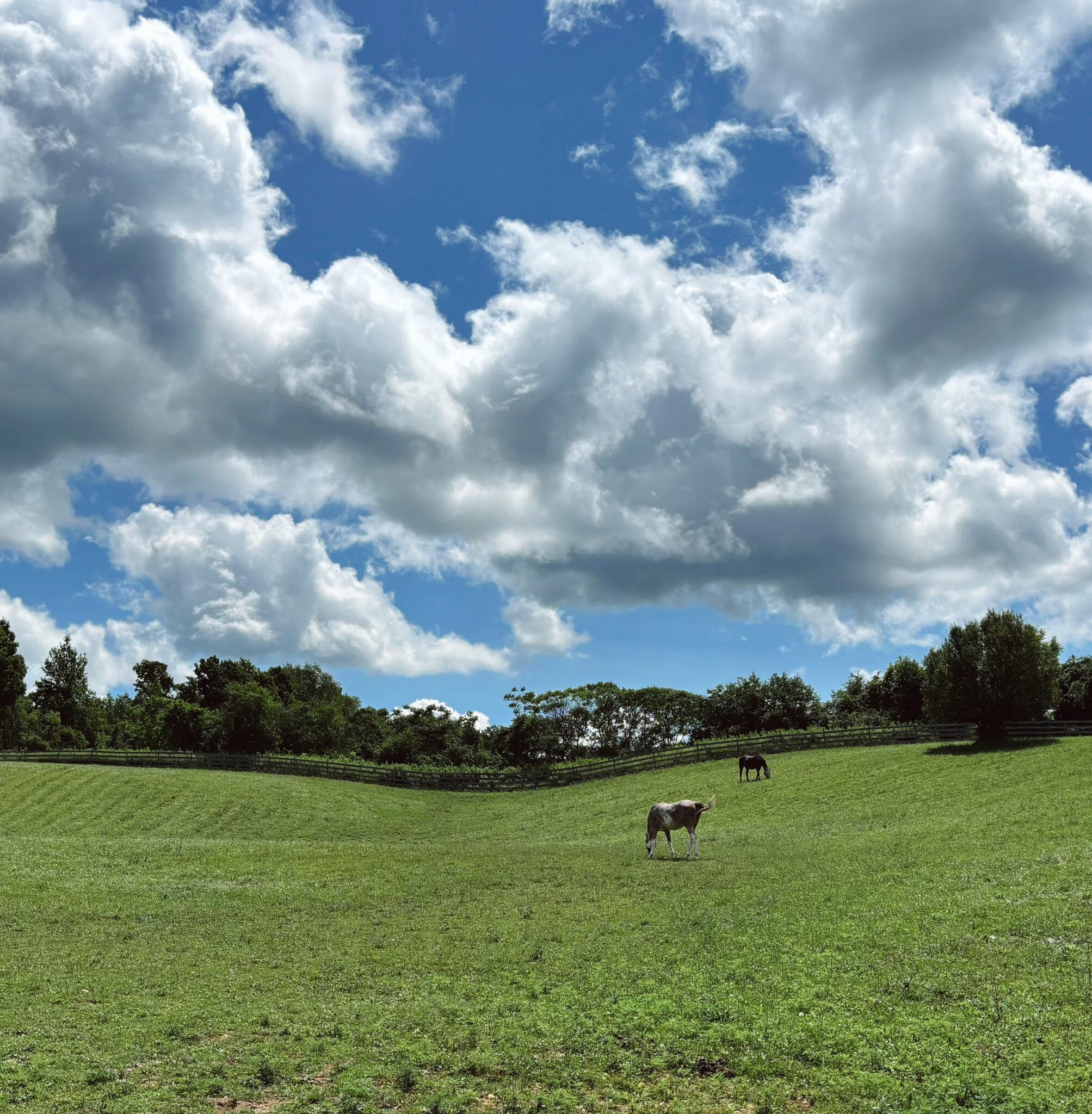 Our Facility - Spring Farm CARES